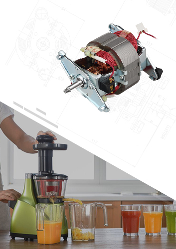 High-Performance Blender Motor Solution | Power Motor